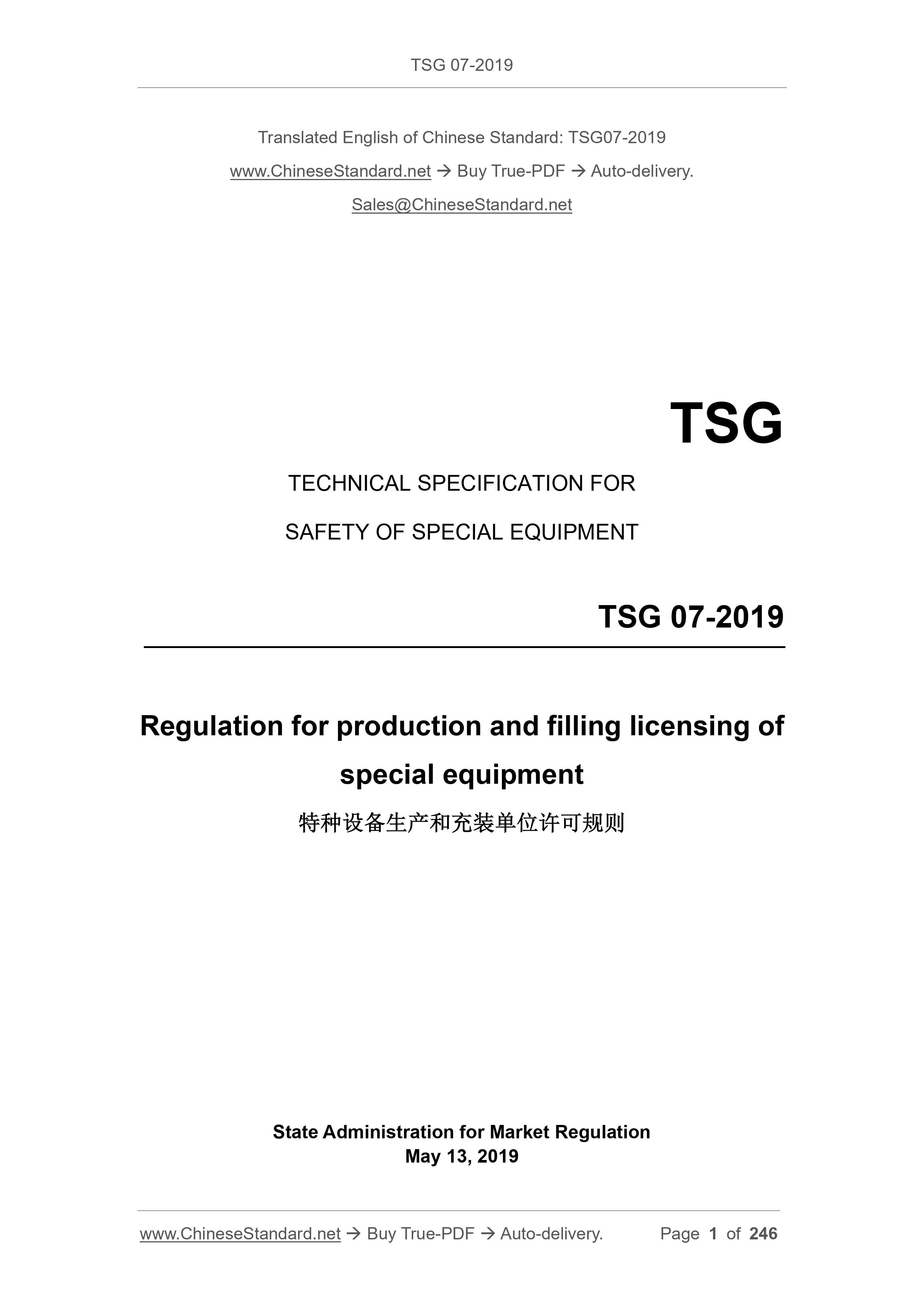 TSG 07-2019 English PDF (TSG07-2019) – Sales@ChineseStandard.net (Field ...